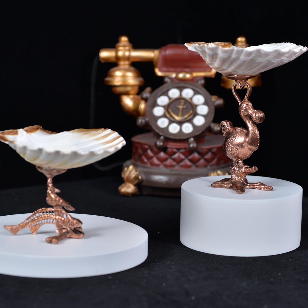 Seashell Wine Glass: Conch Shell Base, Coastal Wedding Favor - Etsy