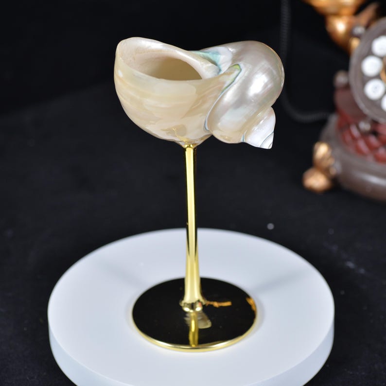 Golden Seashell Goblet - Handmade Conch Shell Wine Cup for Beach Bar ...