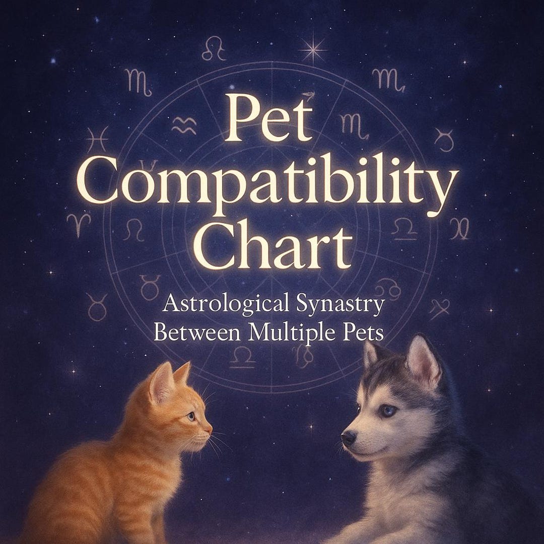 Zodiac Pet Compatibility Chart - Astrology Synastry Reading for Cat ...