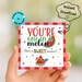 Gift Tags End of the Year One in a Melon Last Day of School Printable ...