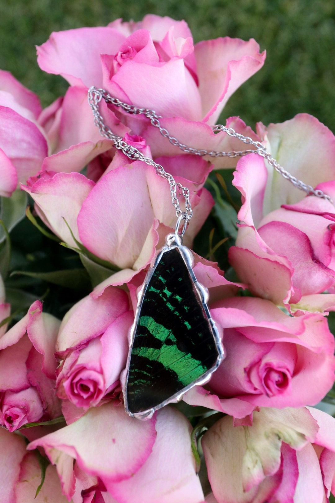 Real Butterfly Wing Necklace. Sunset Moth. Ethically Sourced. Green ...