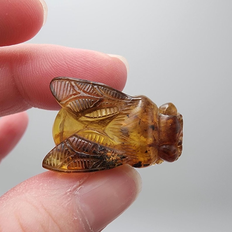 Wonderful Detailed Honey Bee Amber Carving - Etsy