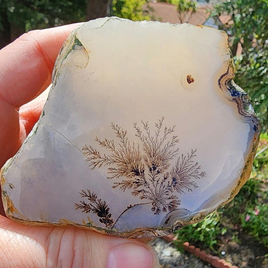 Very Large Dendrite in Quartz Face Polished Specimen - Etsy
