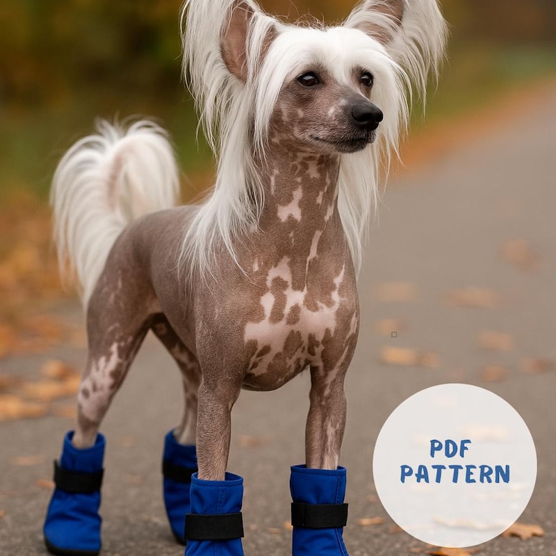 Dog Boots or Shoes - Etsy