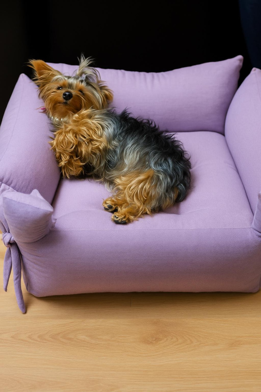 DIY Foldable Pet Bed Sewing Pattern: Small Dog or Cat (PDF Pattern) - Etsy