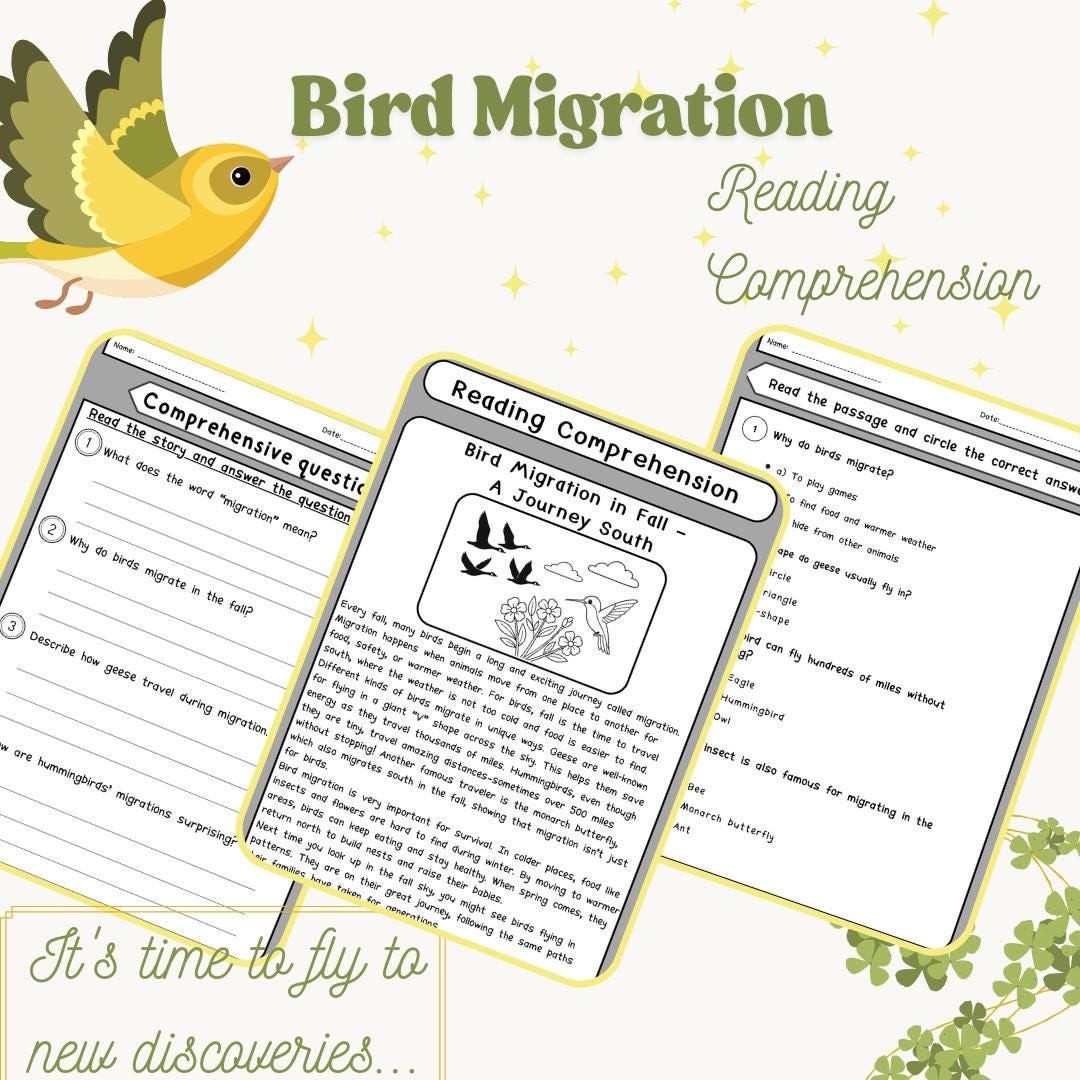 Bird Migration Reading Comprehension Worksheets Bilingual English ...