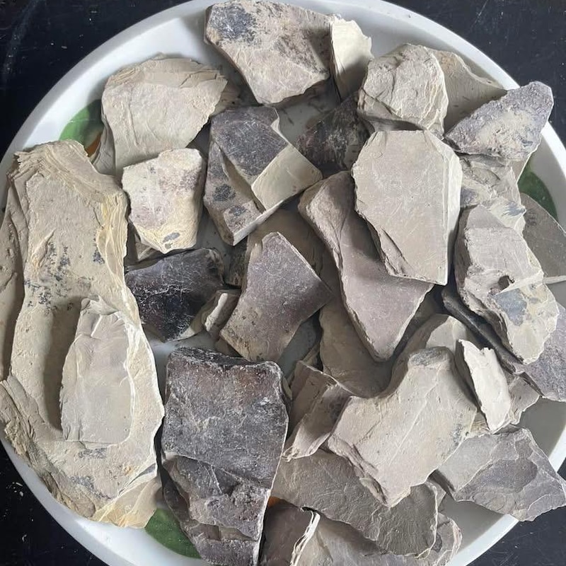 Za Ga Zig Acorn - Etsy Australia