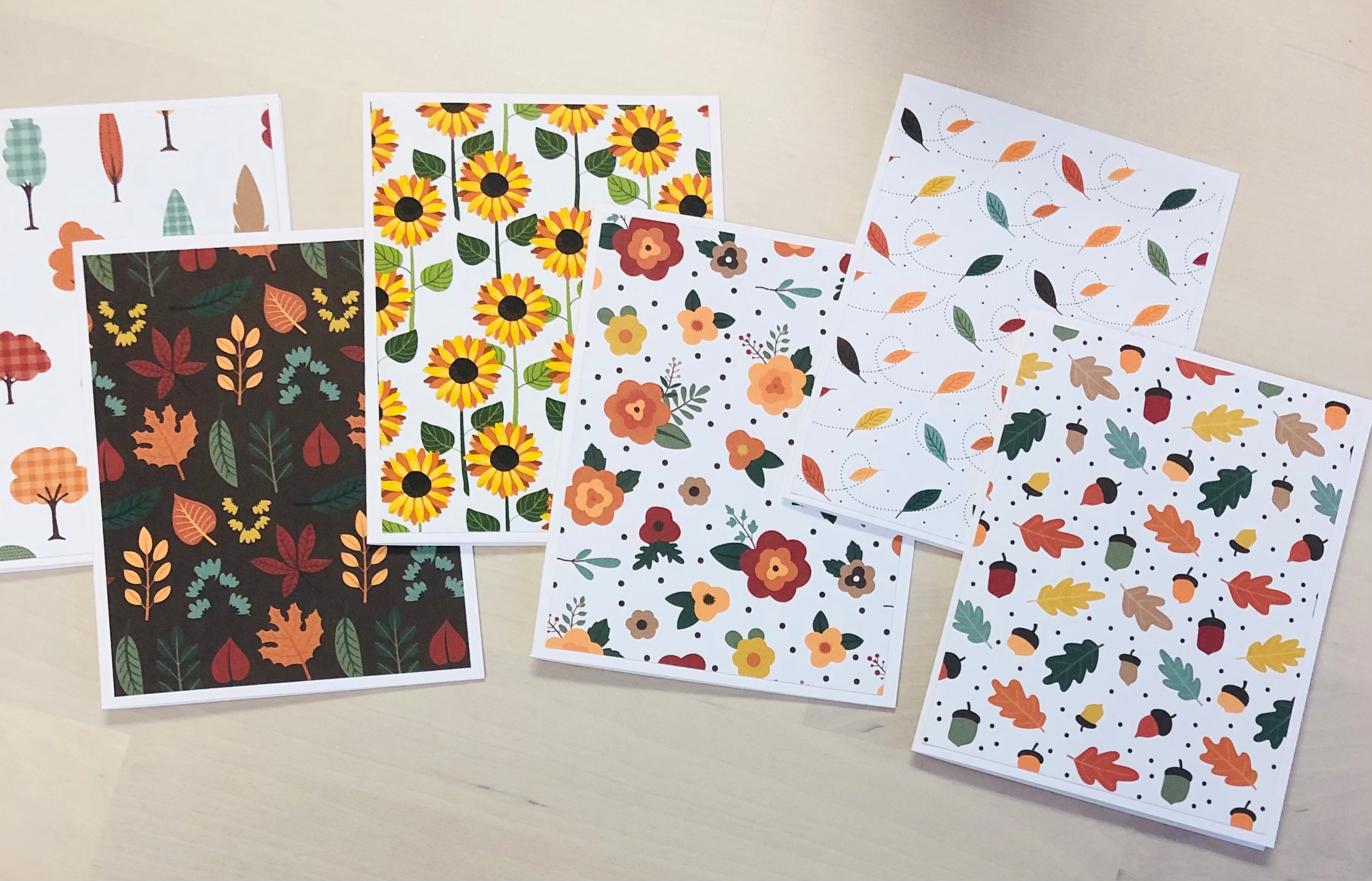 Fall Card Assortment, Fall Variety Cards, Blank Note Cards for Fall ...