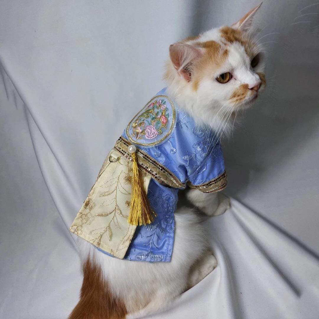 Dress for Fur Baby Clothes Handmade Korean Hanbok for Cat & Dog | Pets ...