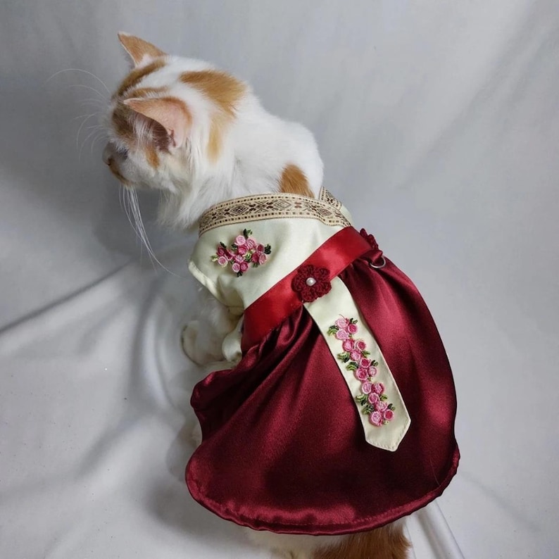Korean Hanbok for Cats and Small Dogs – Traditional Pet Outfit in ...