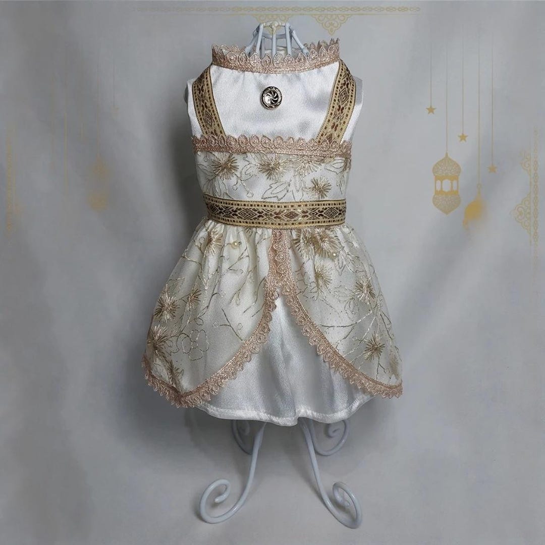 Luxury Desi Pet Dress for Cats & Small Dogs – Velvet Lace Outfit ...