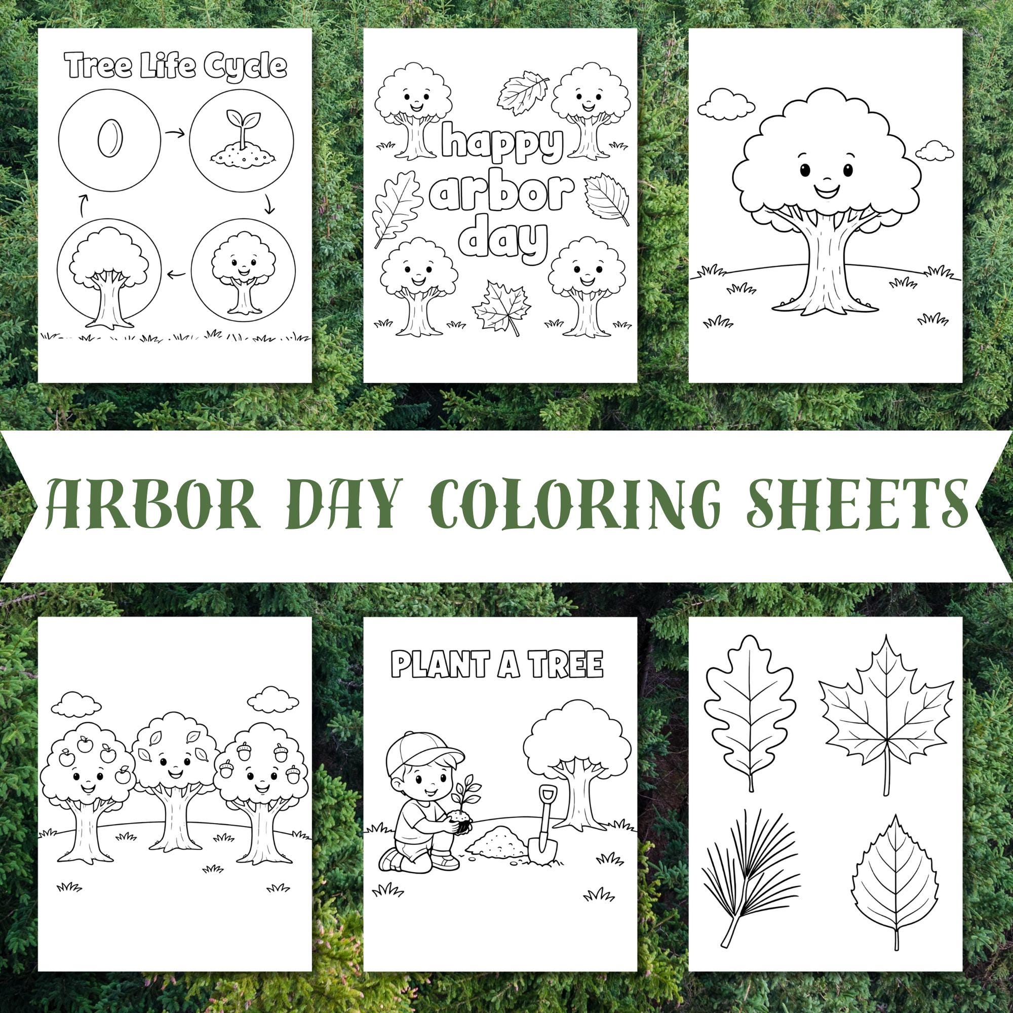 Arbor Day Coloring Pages for Kids | Tree Coloring Book PDF | Nature ...