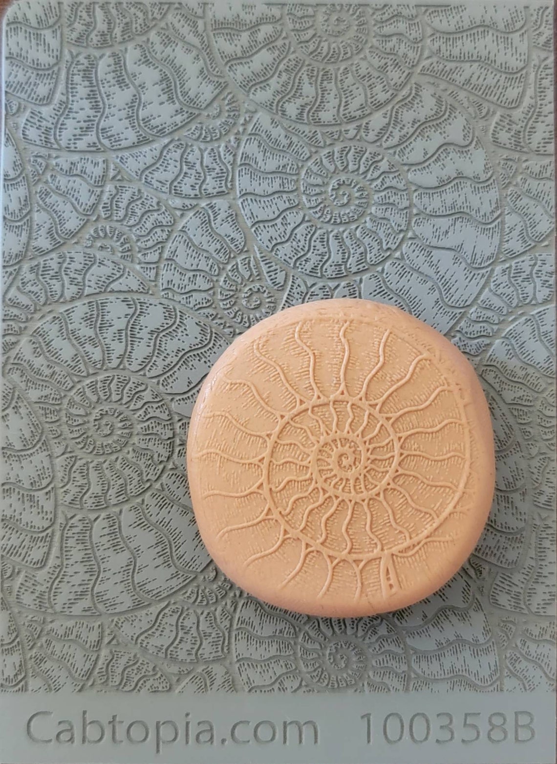 Cabtopia| Fossil Ammonites | Texture Mat for Clay| Clay Pattern Stamps ...