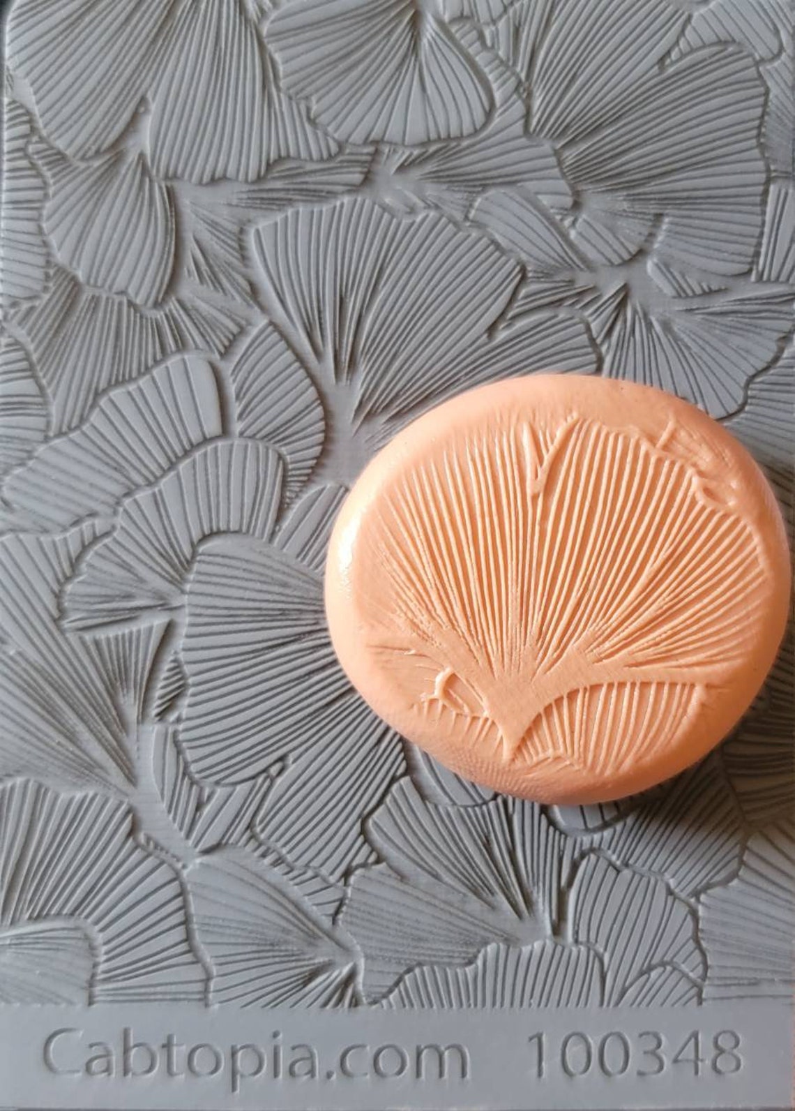 Cabtopia Ginkgo Leaf Pattern Texture Mat for Clay Clay - Etsy
