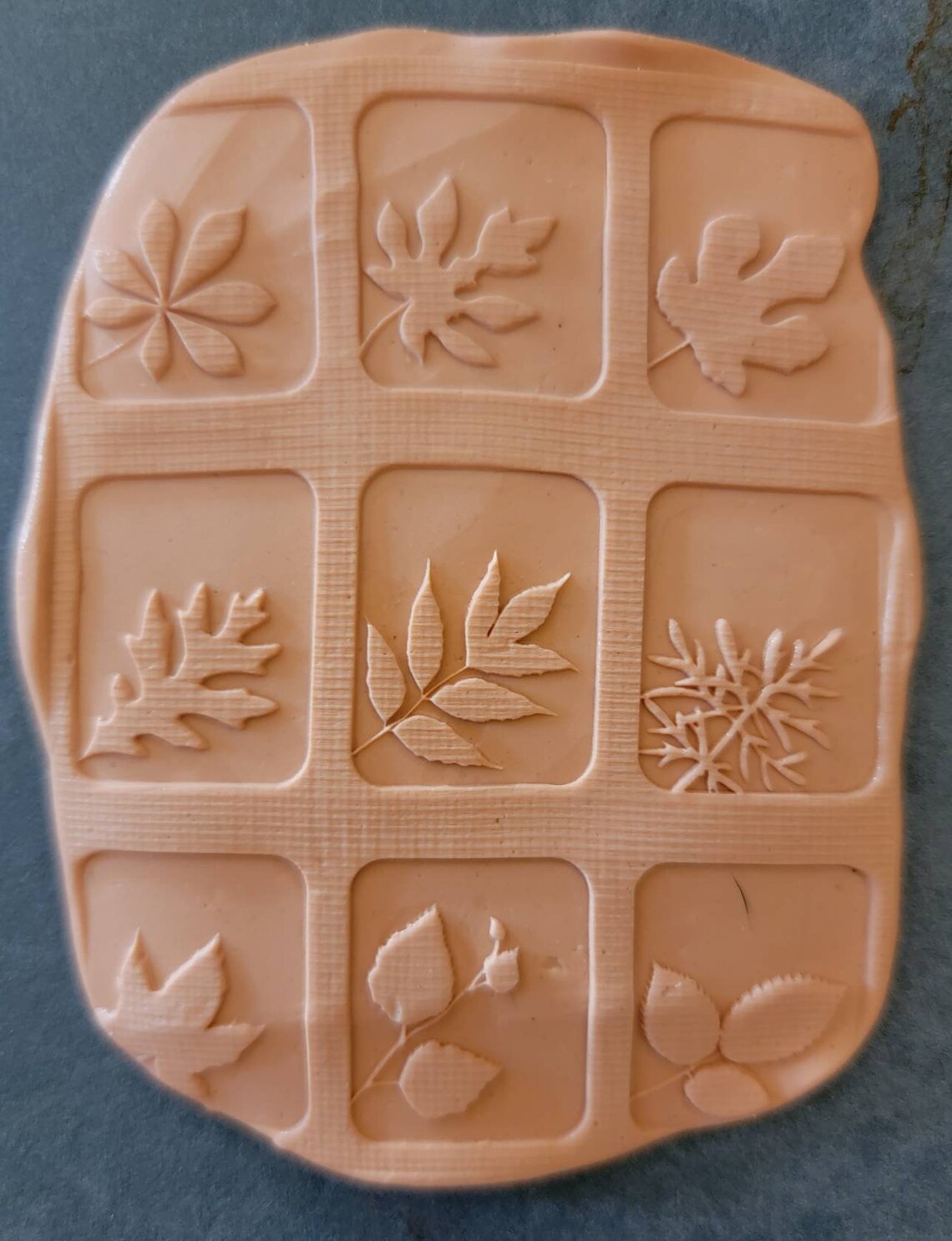 Cabtopia Leaves in Panes3x4 in Texture Mat for Clay Clay - Etsy