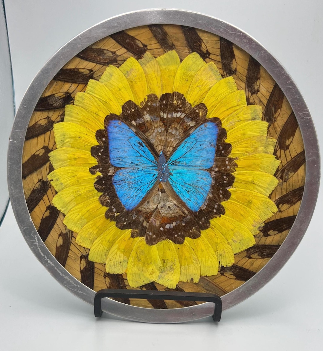 Antique Brazilian Blue Morpho and All-wings Butterfly Round Plate for ...