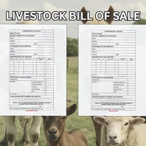 Livestock Bill of Sale Template PDF | Printable Buyer & Seller Form ...