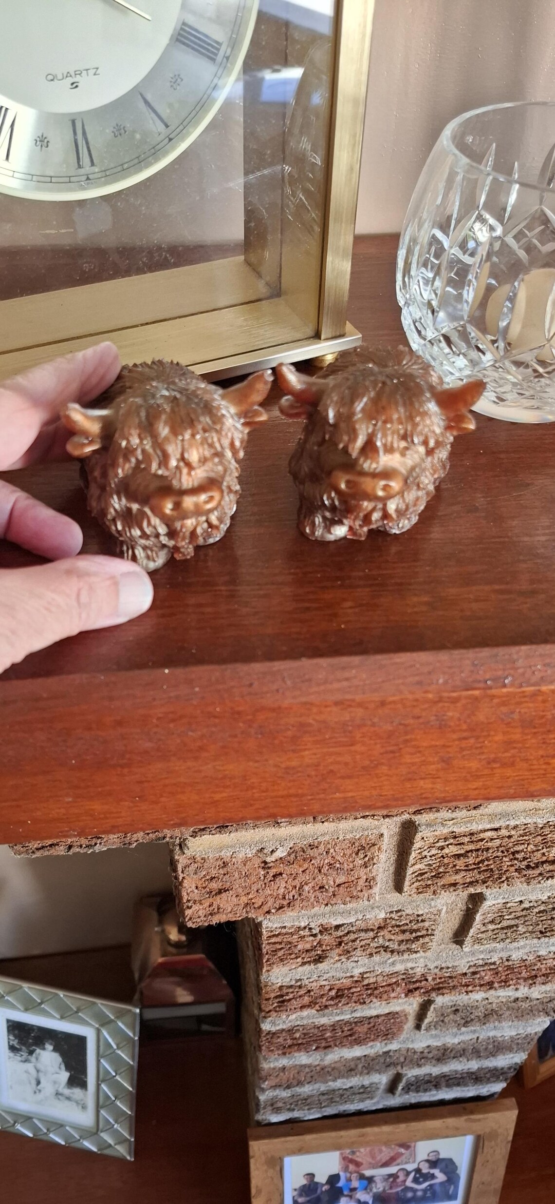 Large Herd of Five Highland Cow Figurines. Fun and Fabulous With Lots ...