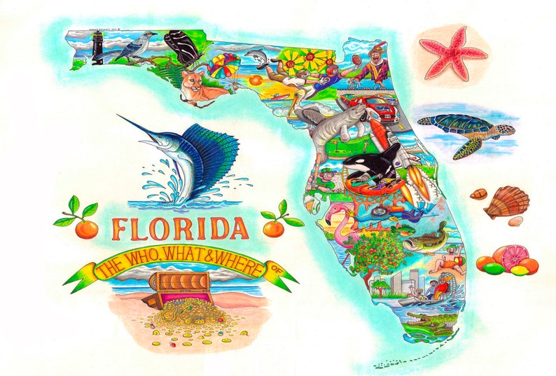 Florida Postcards Bulk Package of 50 Signed by Artist - Etsy