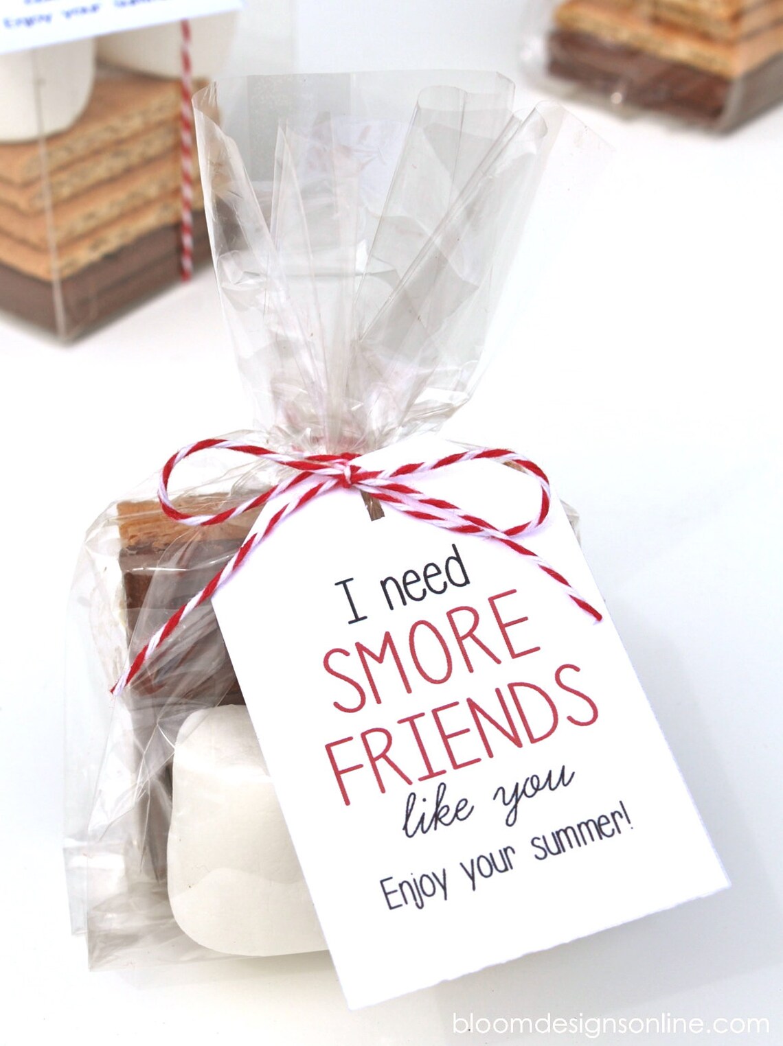 100 Smores Bags 4x2x8 With 2 1 2 Etsy