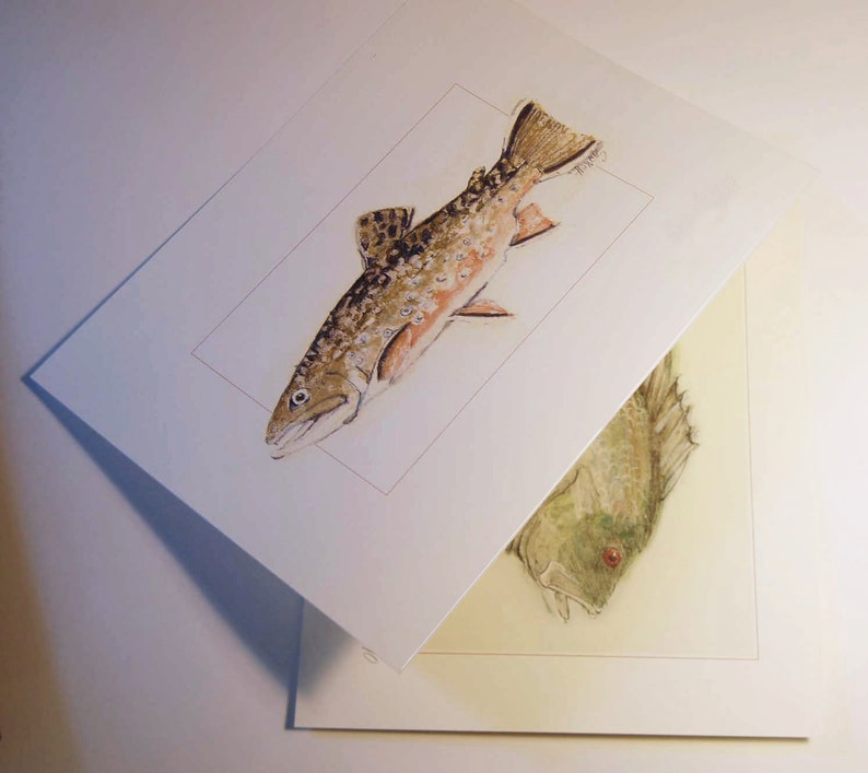 Brooke Trout Fish Art - Color Wash and Pencil Illustration for Wall ...