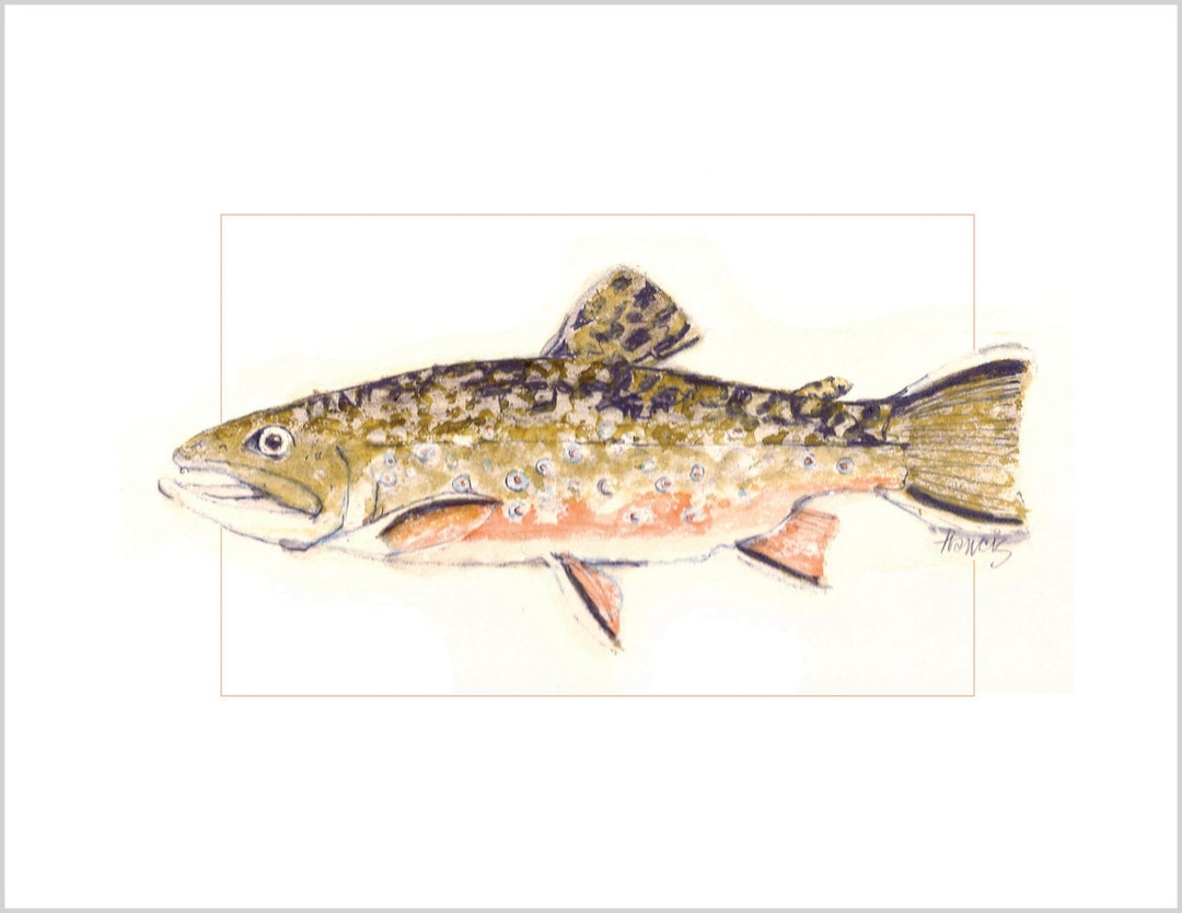Brooke Trout Fish Art - Color Wash and Pencil Illustration for Wall ...