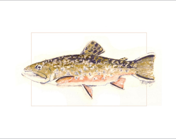 Brooke Trout Fish Art Color Wash and Pencil Illustration for Wall Decor ...