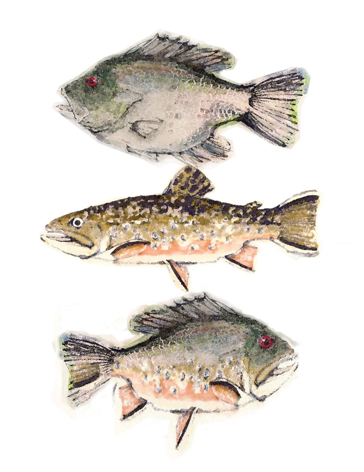 Fish Art - Brooke Trout, Rock Bass, and Whimsical Funky Fish Creation ...