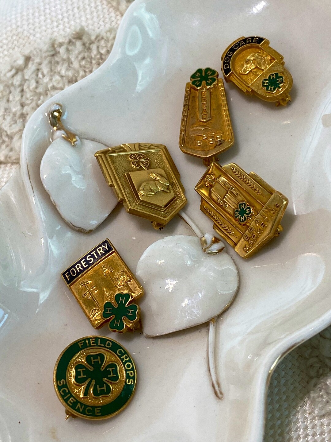 Six 4-H Variety of Gold Award Pins - Etsy