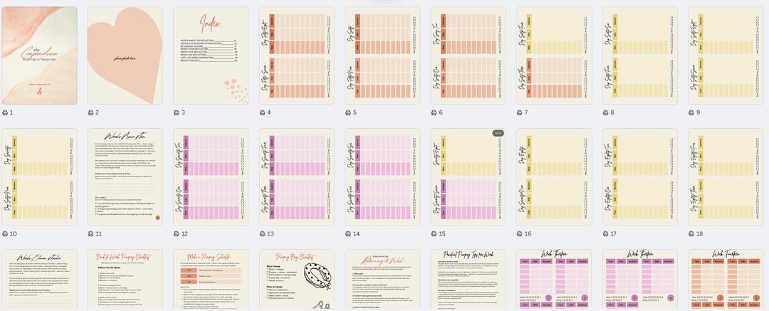 Printable Breastfeeding Journal Compendium: A Companion Guide for Weeks ...