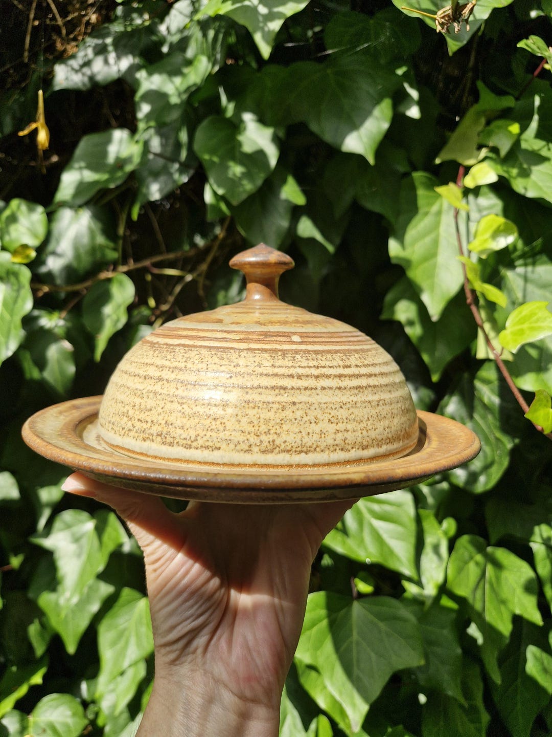 Studio Pottery Cheese Dome - Etsy
