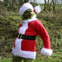 The Mean One - Jim Carrey Grinch Movie Halloween Mask Bust - Etsy UK