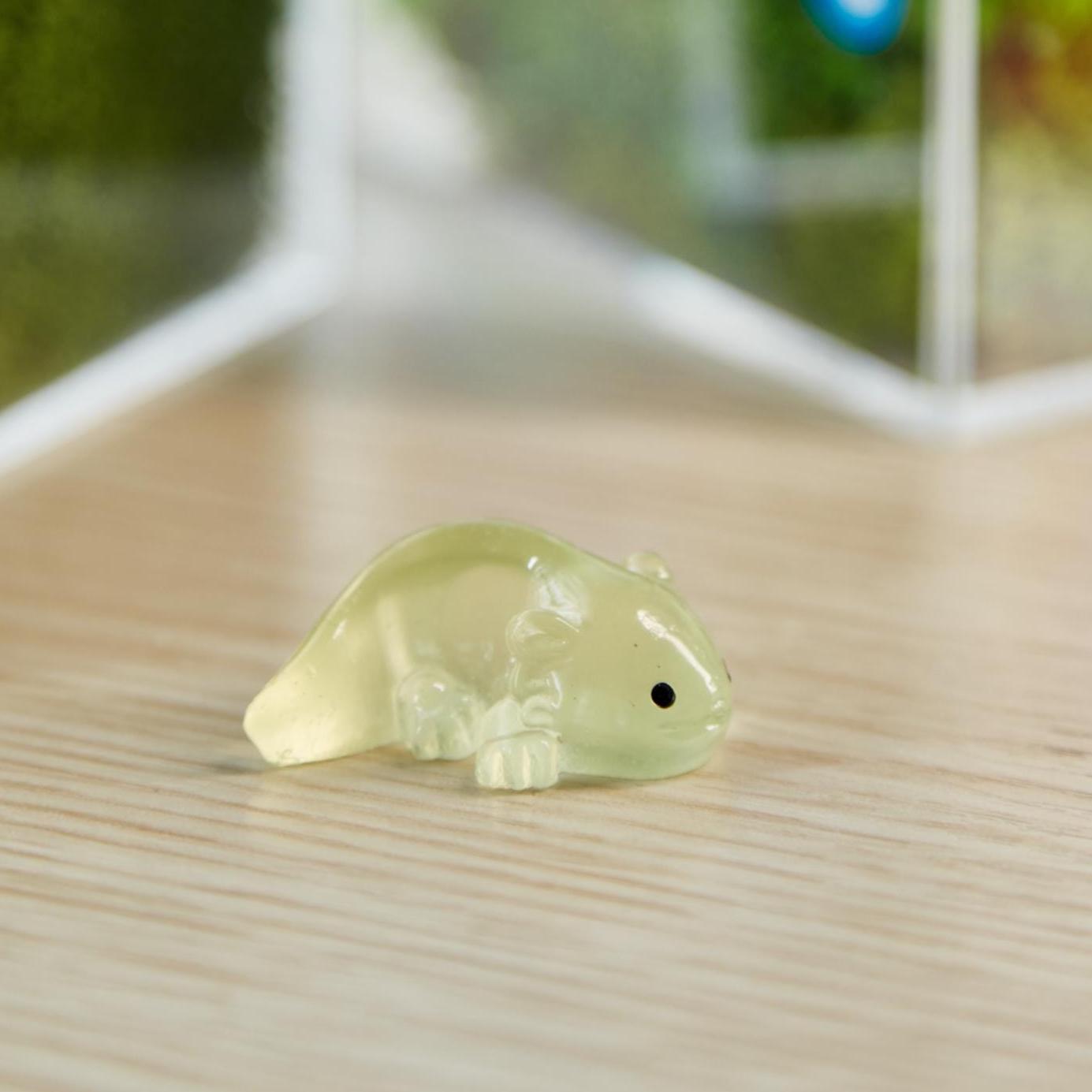Sweet Salamander Minitures,moss Desktop Garden, Cute Desk Decor, Back ...