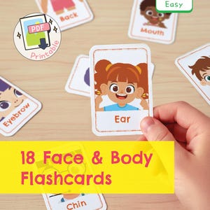 Face & Body Flash Cards｜learn Human Body for Kids and Adults ...