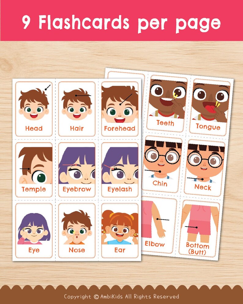 Face & Body Flash Cards｜learn Human Body for Kids and Adults ...