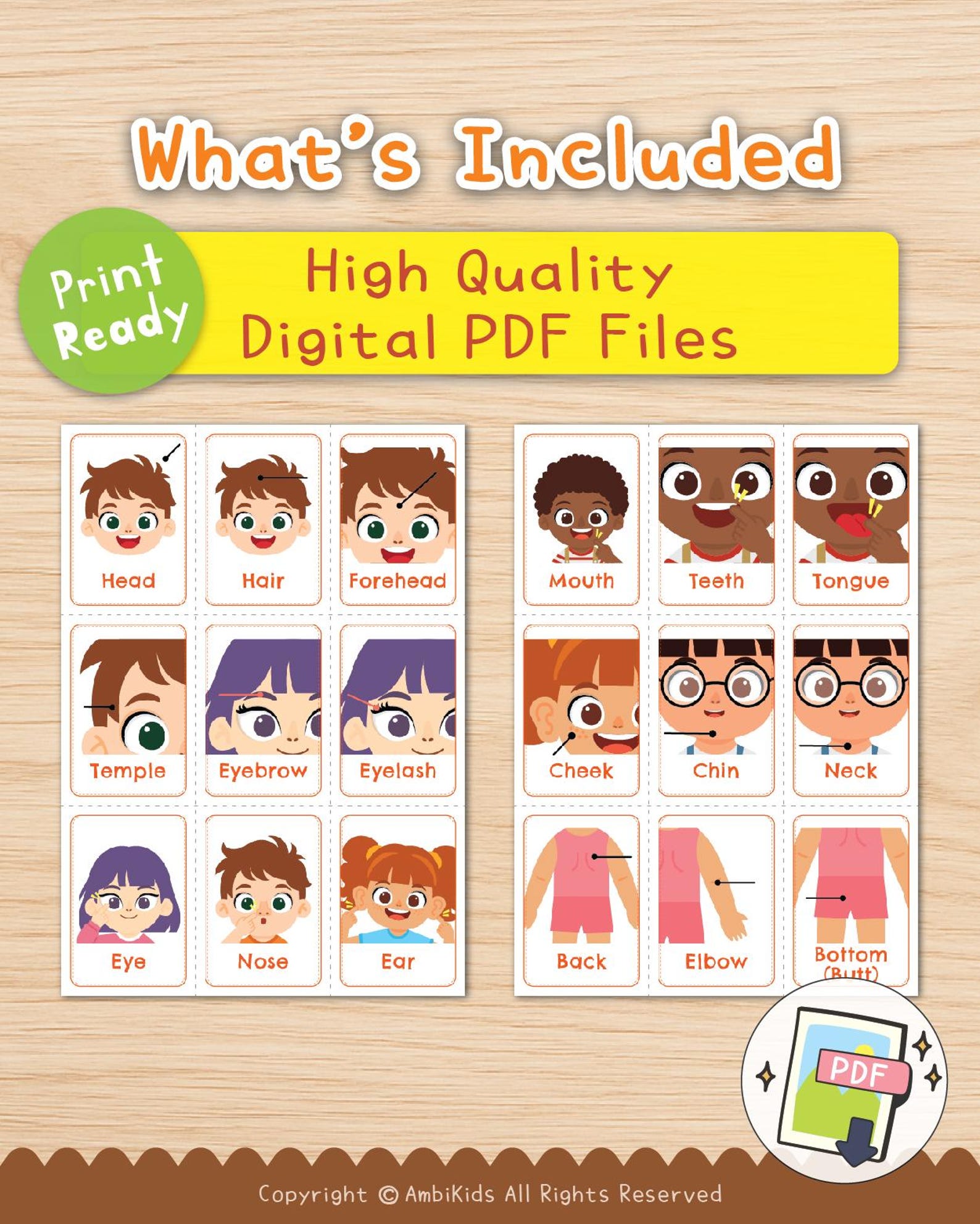 Face & Body Flash Cards｜learn Human Body for Kids and Adults ...