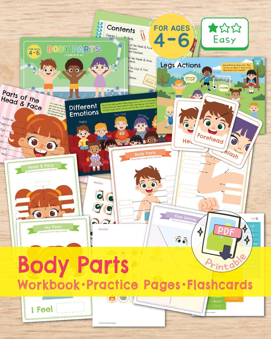 Human Anatomy Body Parts Workbook • Practice Pages • Flashcards ...