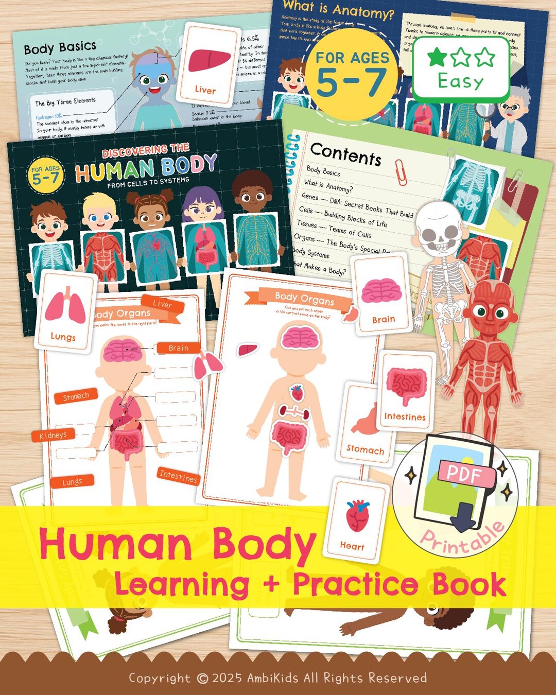 Discovering the Human Body: From Cells to Systems, Homeschool ...