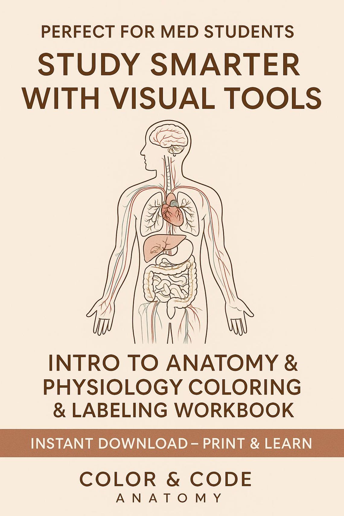 Anatomy & Physiology Coloring Workbook – Printable Labeling Sheets ...