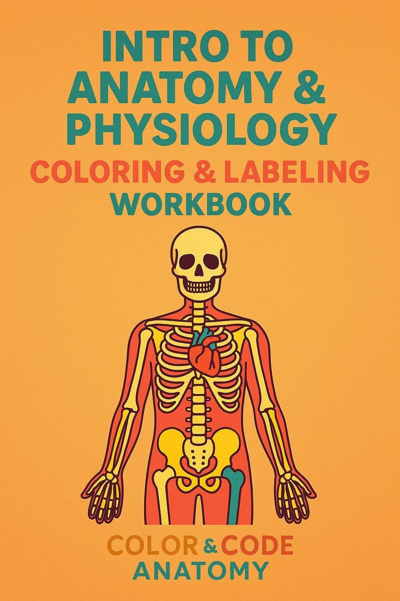 Anatomy & Physiology Coloring Workbook – Printable Labeling Sheets ...