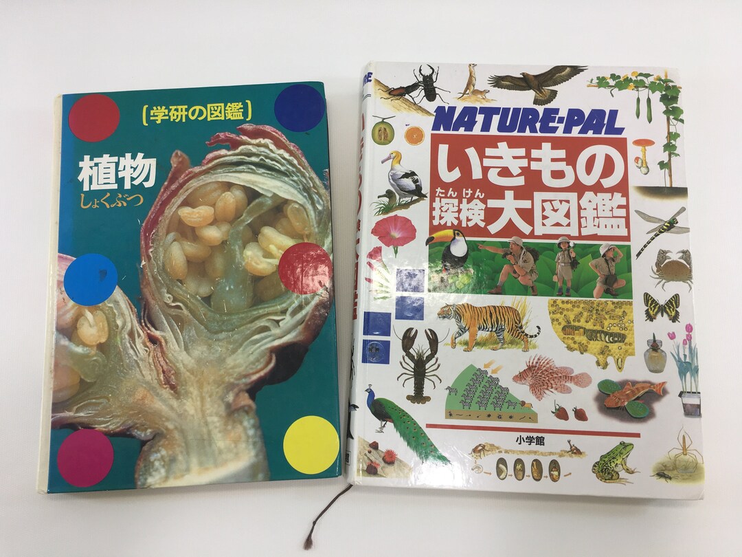 Japanese Children s Books 2 Educational Books For Children Etsy japanese-children-s-books-2-educational-books-for-children-etsy