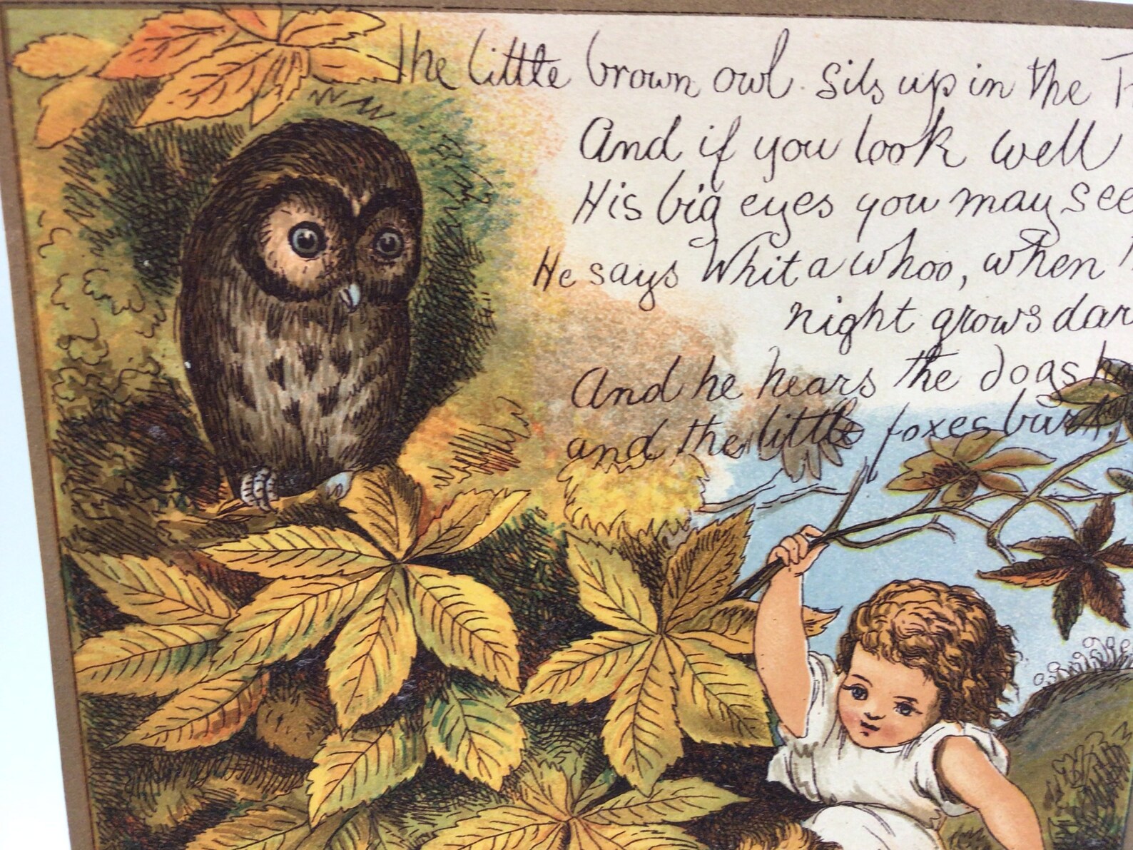 Little Brown Owl Rhyme Antique Illustration Children's - Etsy