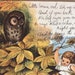 Little Brown Owl Rhyme Antique Illustration Children's Song Original ...