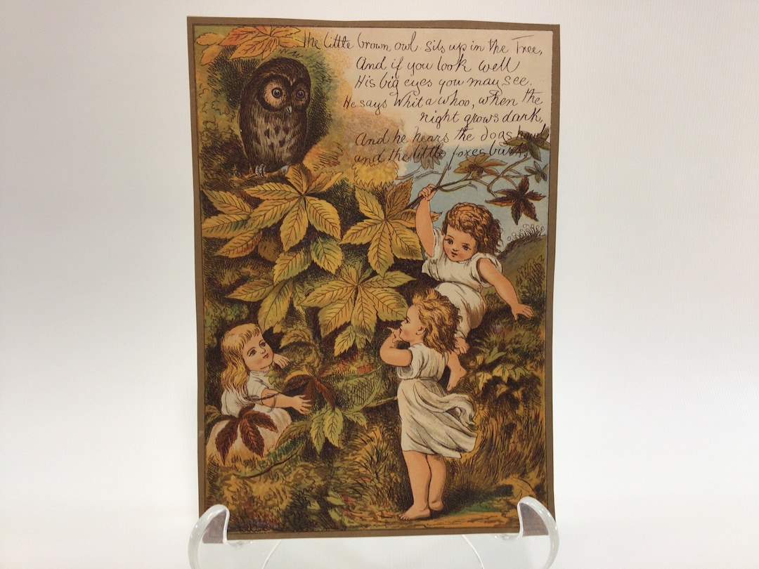 Little Brown Owl Rhyme Antique Illustration Children's Song Original ...