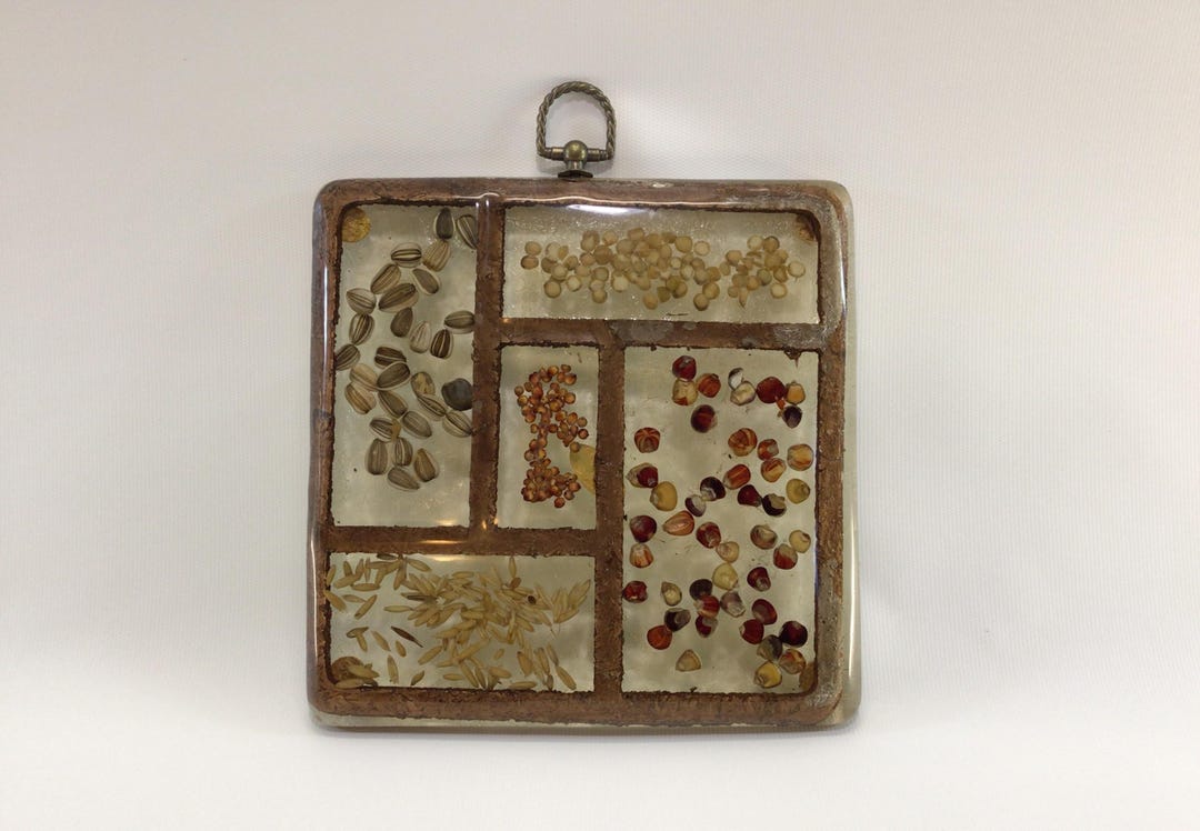 Seed Art Trivet Lucite Acrylic Gamut Designs 70s Retro Kitchen Wall ...