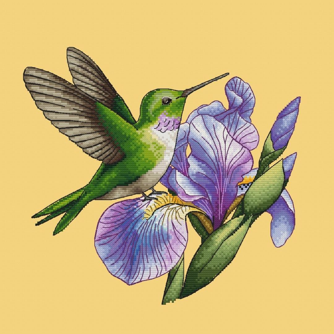 Hummingbird and Iris Cross Stitch Pattern: Floral Bird Embroidery (PDF ...