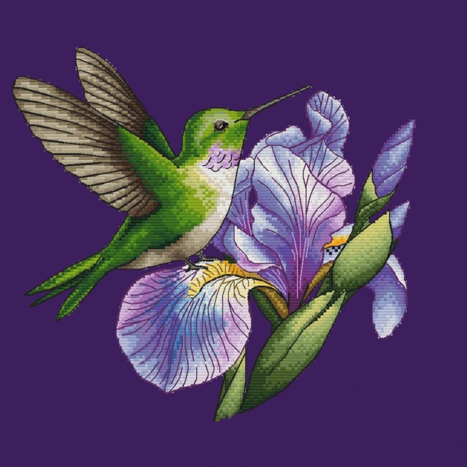 Hummingbird and Iris Cross Stitch Pattern: Floral Bird Embroidery (PDF ...