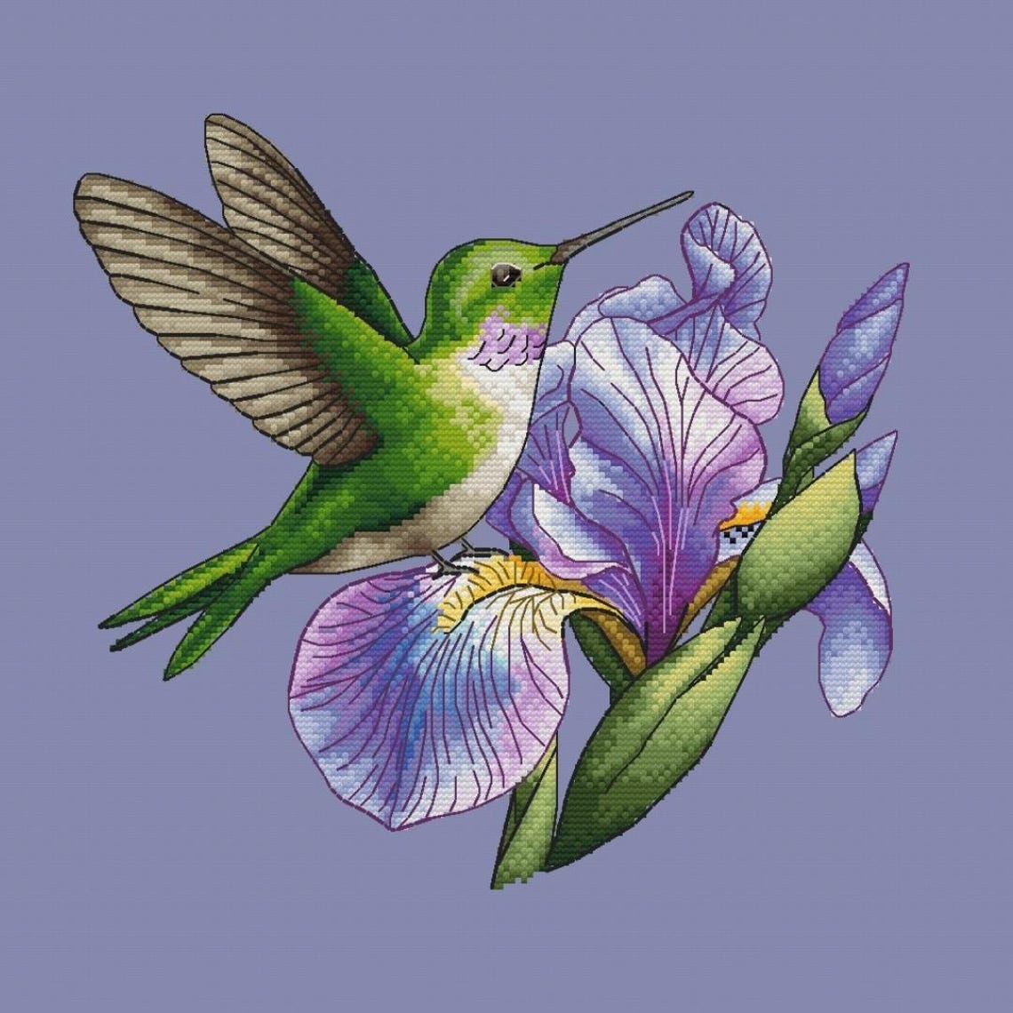 Hummingbird and Iris Cross Stitch Pattern: Floral Bird Embroidery (PDF ...