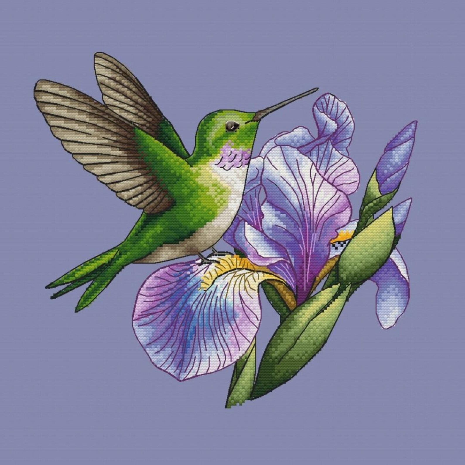 Hummingbird and Iris Cross Stitch Pattern: Floral Bird Embroidery (PDF ...