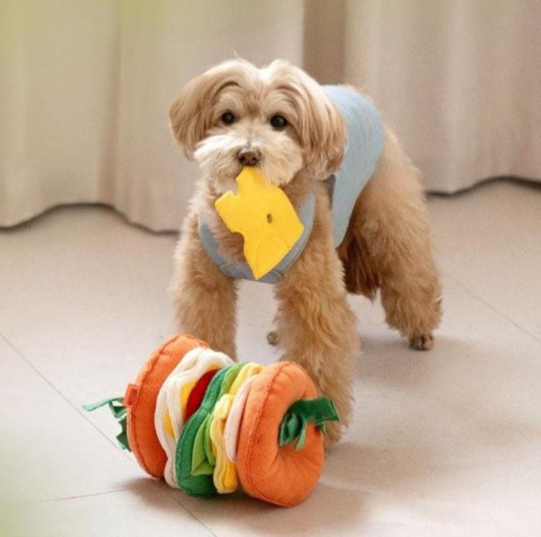 Plush Burger Dog Toy – 8 Detachable Layers for Interactive Fun - Etsy